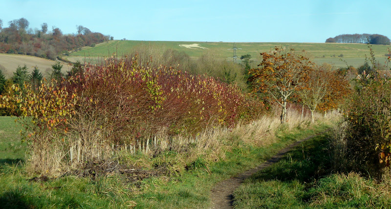 Devizes Days in Words and Pictures 2015: November 2012