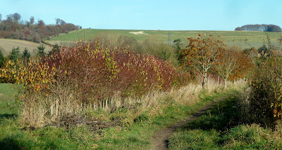 Devizes Days in Words and Pictures 2015: A Quaker's Walk Circular Stroll