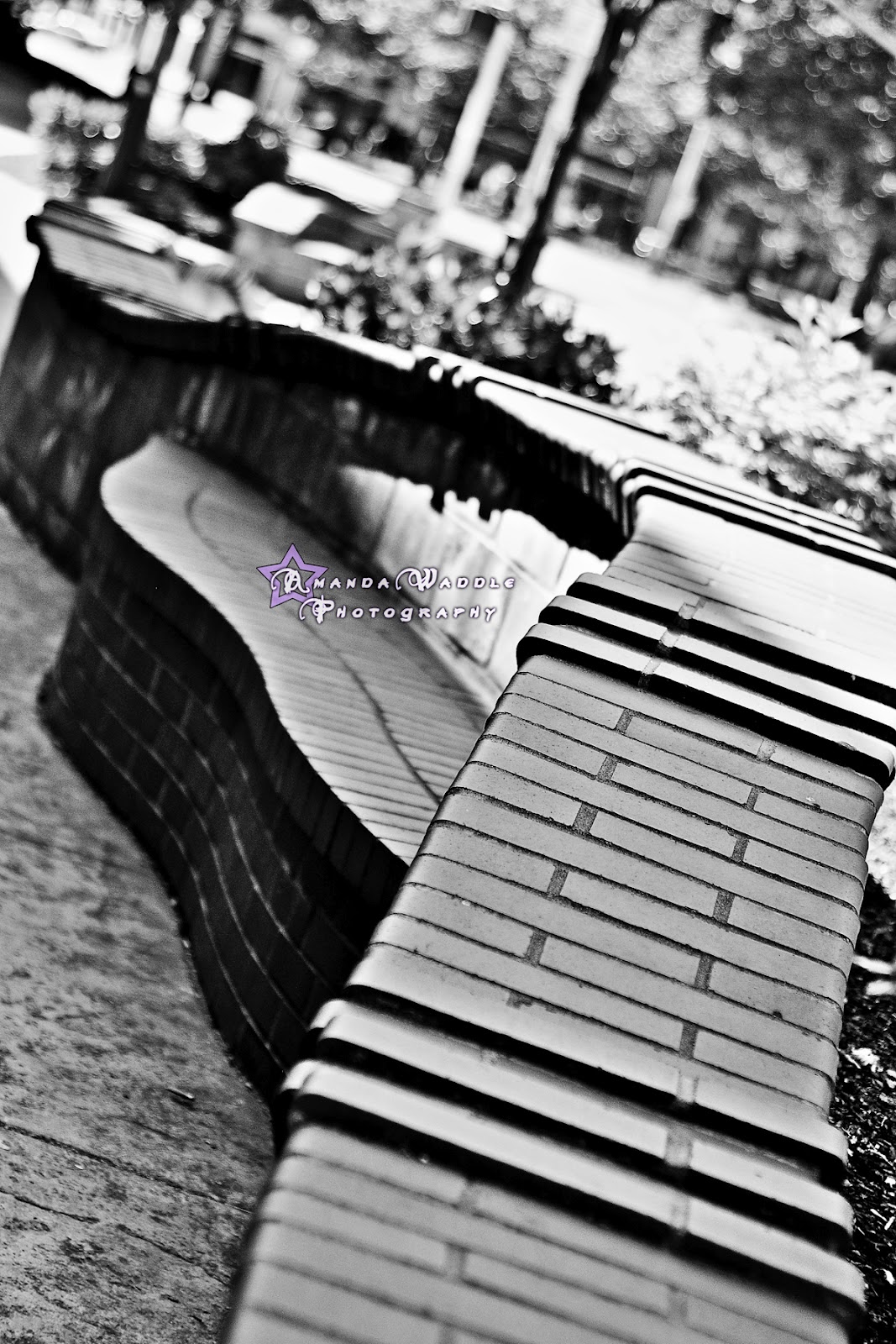 Amanda Waddle Photography