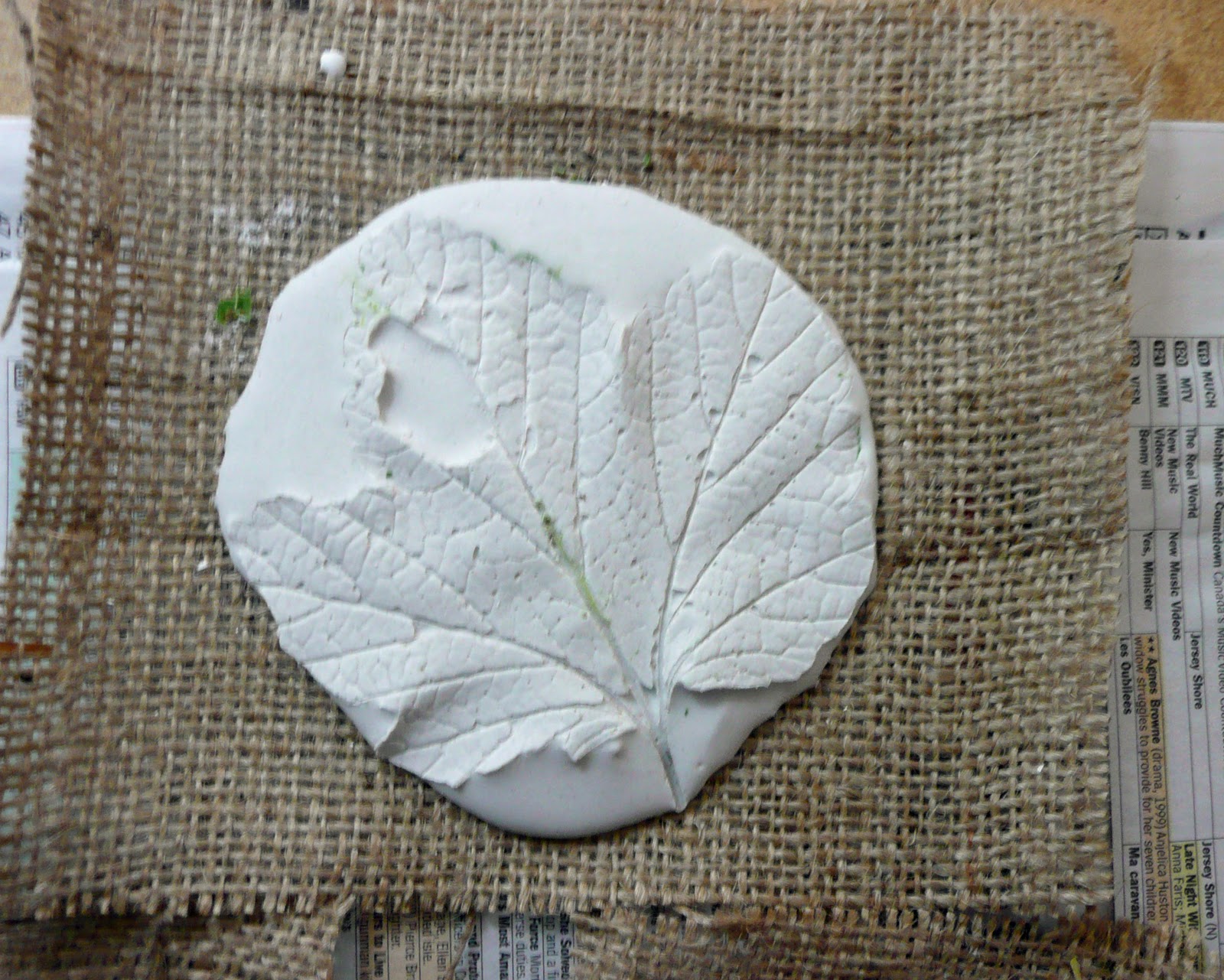 that artist woman: Plaster Leaf Prints