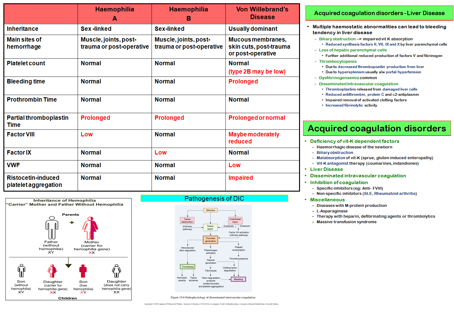 Medical Concept maps : Hematology