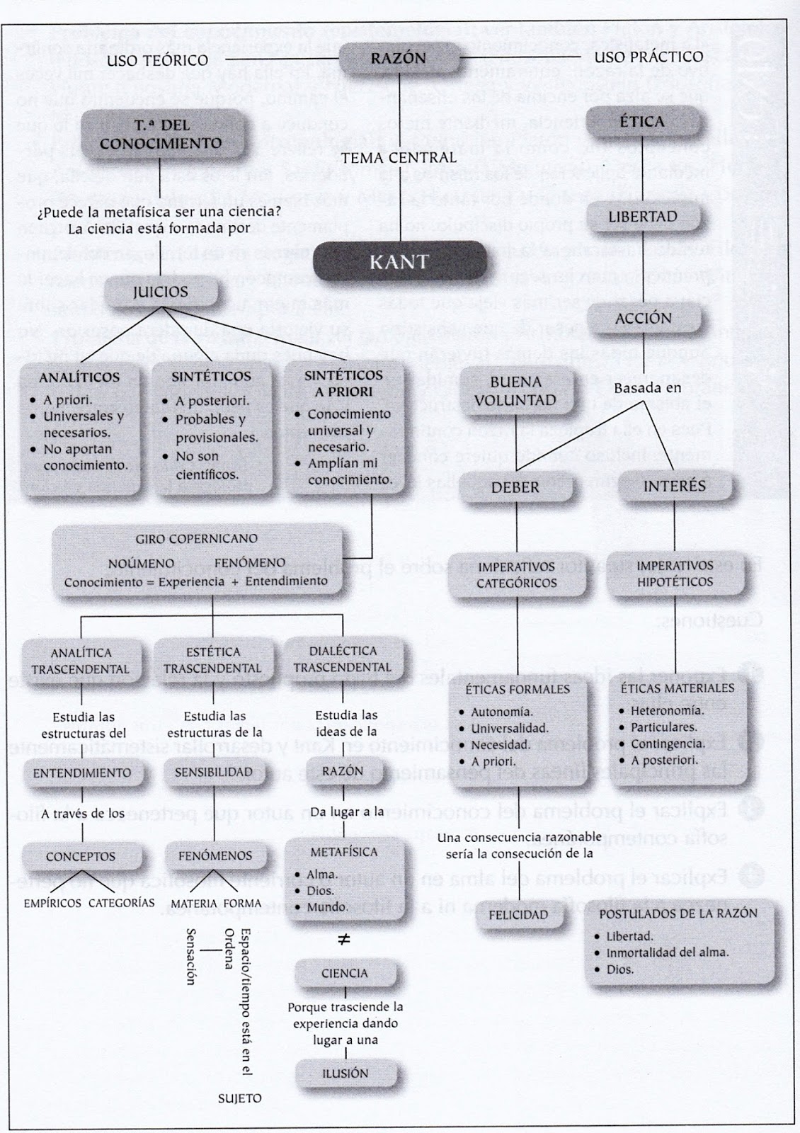 El casco de minerva: Kant: esquemas y conceptos