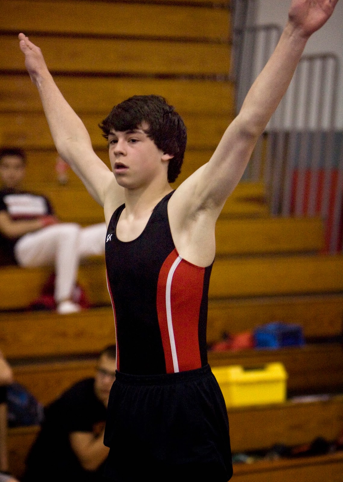 Mark Kodiak Ukena: IHSA Boys Gymnastics Sectionals
