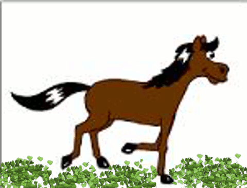 Imagenes de caballos.gif - Imagui