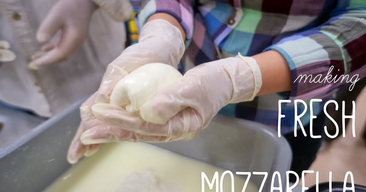 Making Fresh Mozzarella