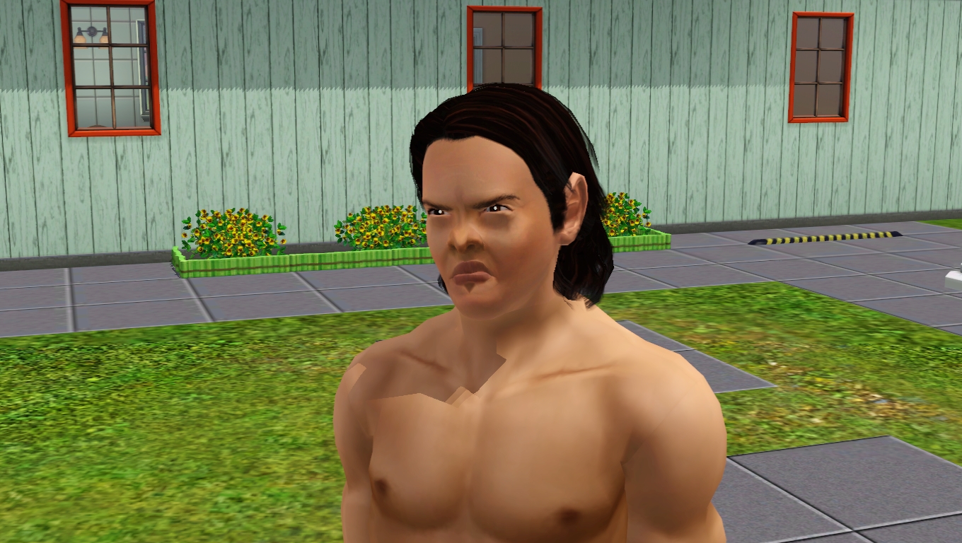 Sim Confusion: Sims 3 - Bloodsport II (Jared Frio versus Chong Li ...