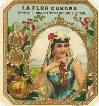 Studio Floral Dora Santoro: Flores de Cuba
