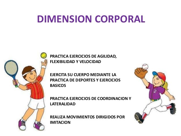 dimensiones del ser humano : logros de la dimensión corporal