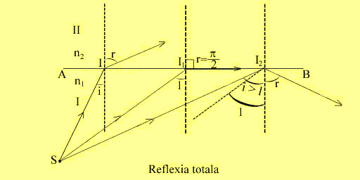 PROWEB: REFLEXIA TOTALA
