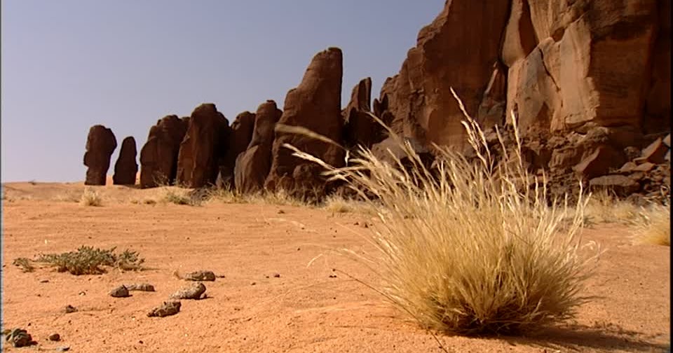 Frio Seco O Humedo - EDUCA
