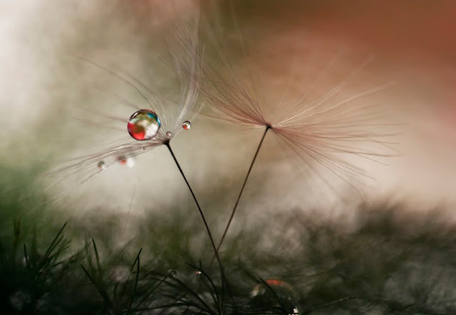 18 Karya Fotografi Abstrak yang Keren ~ The Light Shutter