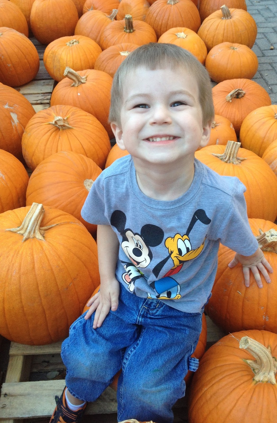 Cummins Life: Pumpkin Patch Fun