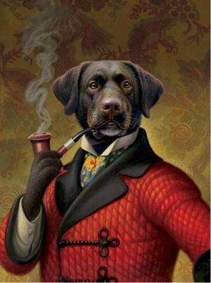 Top 10 Funny Animal Smoking Pictures | Funny Collection World