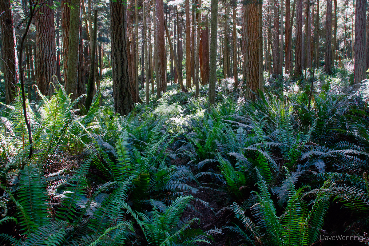 Hoypus Point: The North Fork Trail