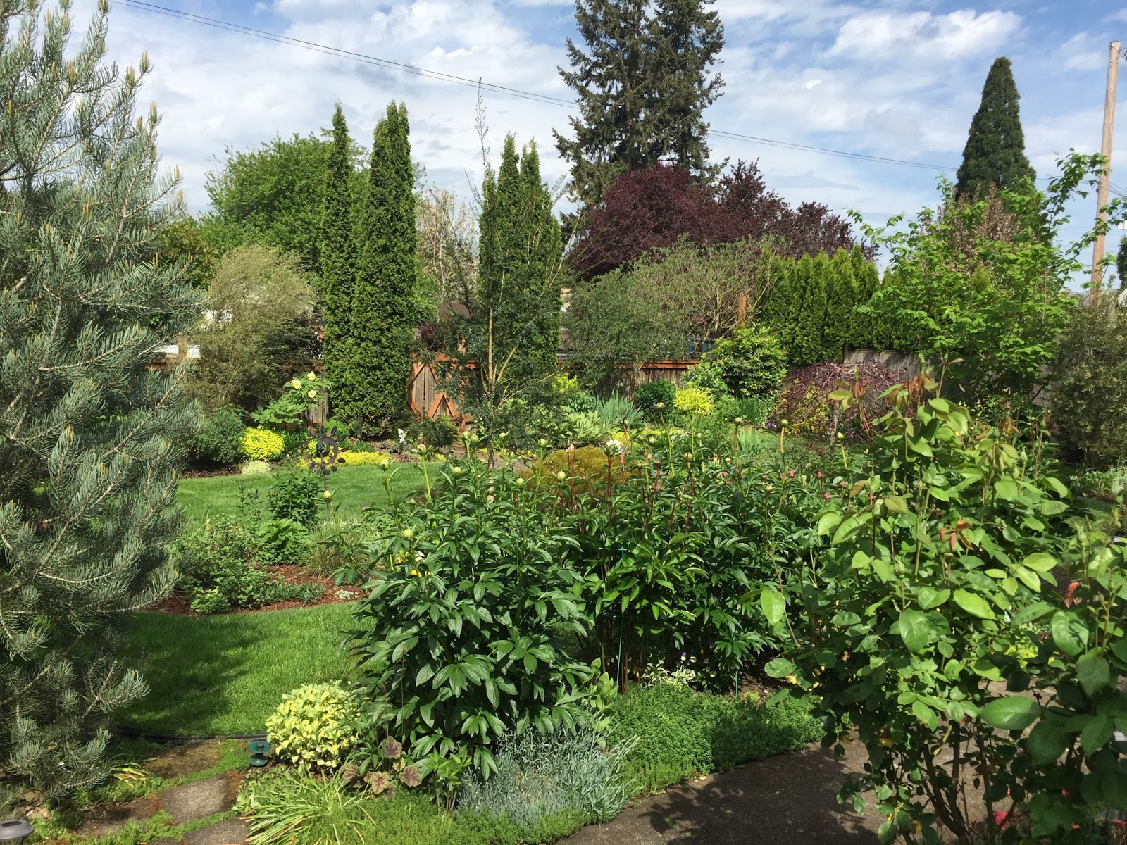 The Lents Farmer: The Road to Open Garden Day!