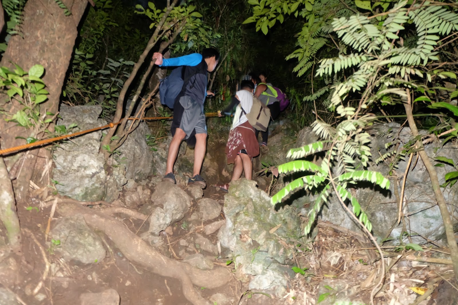 Mt. Cayabu and Mt. Maynoba Traverse to 8 Wonder Falls - From The ...