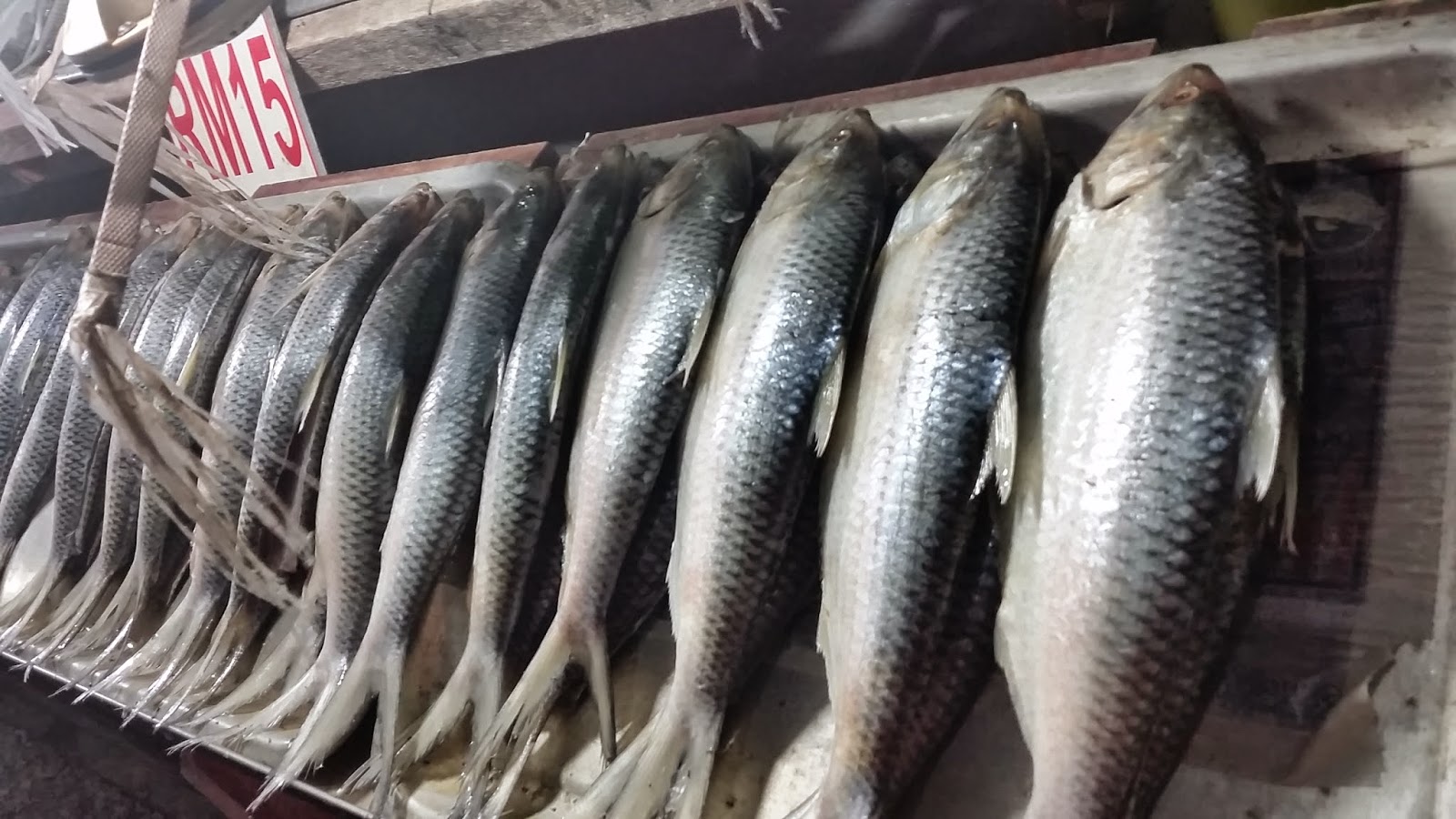 AZLAN RUMADI: AJUN IKAN TERUBOK MASIN GERSIK,KUCHING,SARAWAK