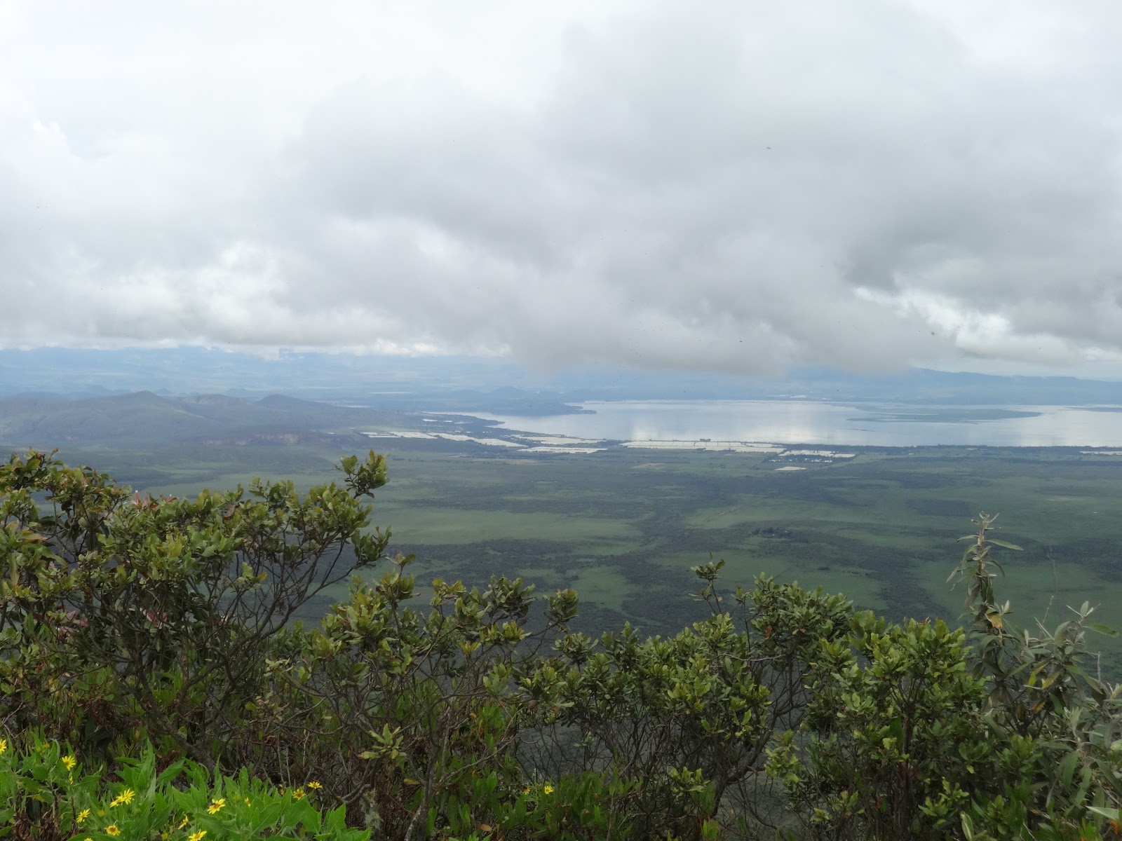 Francesca Thompson's Kenyan Story