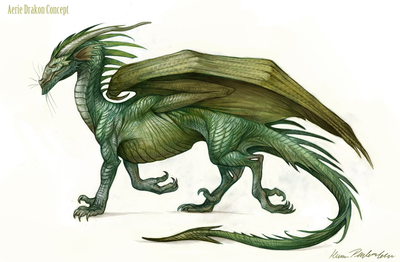 Graphite Dragons: Aeire Drakon Concept