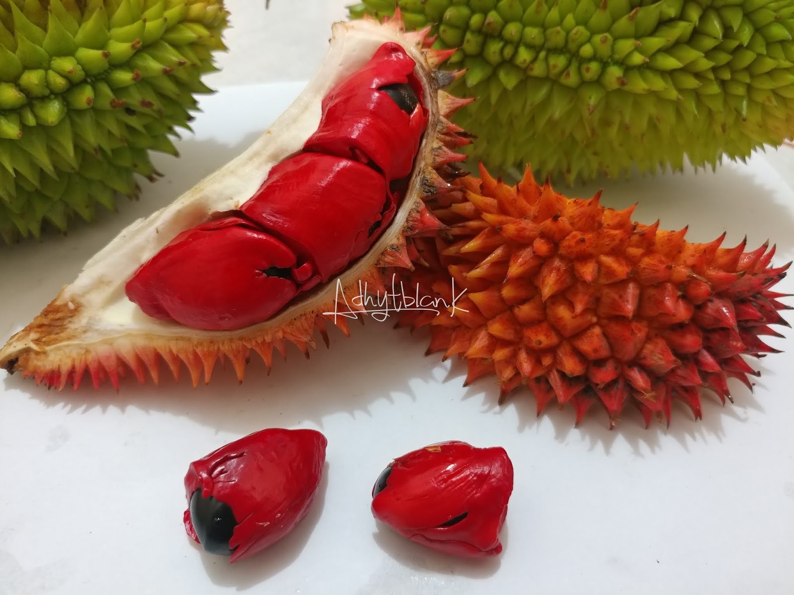 "Exotic Fruits of Borneo": Seeds for Sale