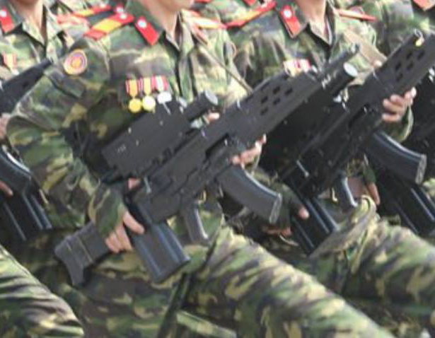 Gun News Blog: North Korean OCIW? K11?