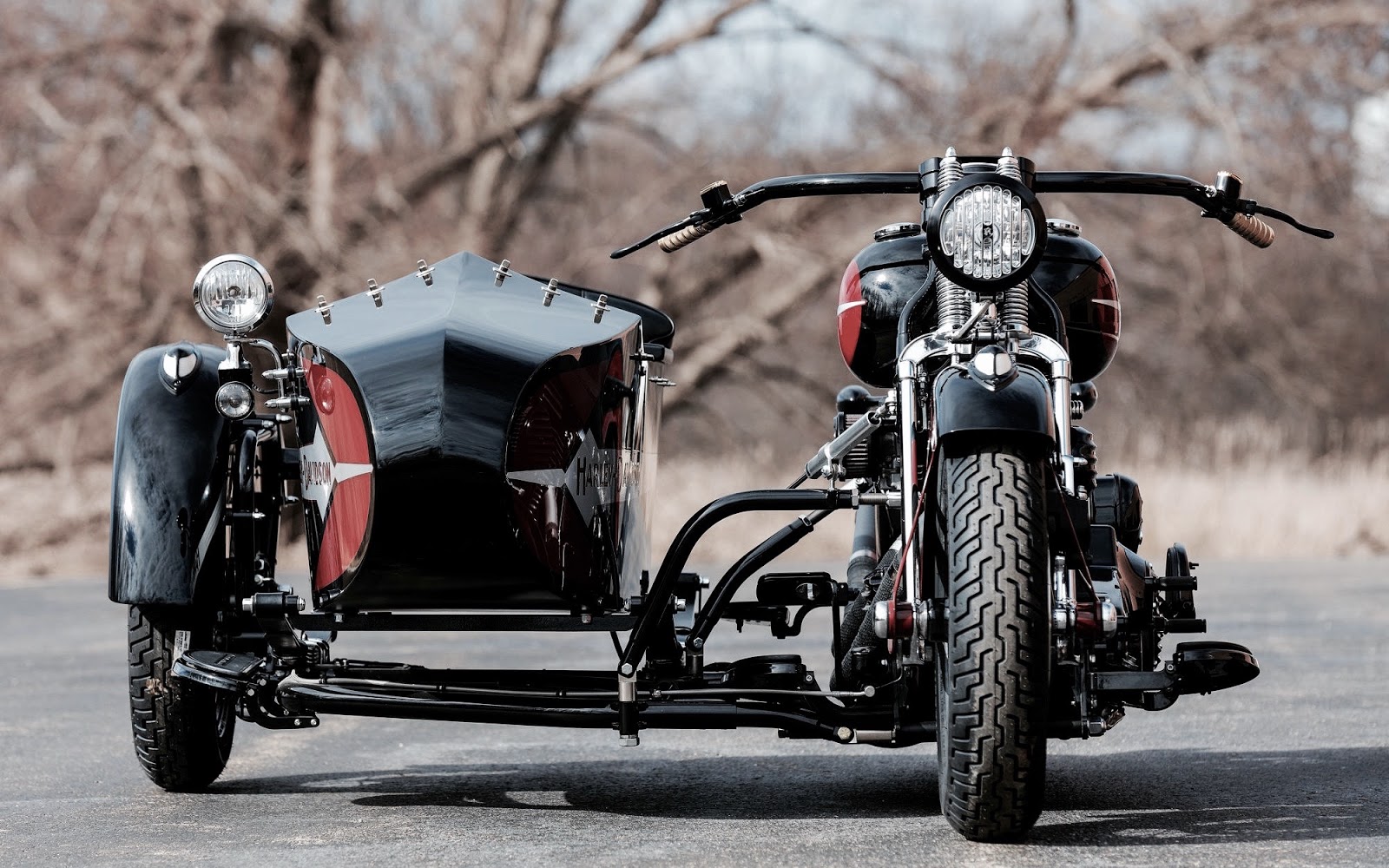 Springer Softail Sidecar - Inazuma café racer