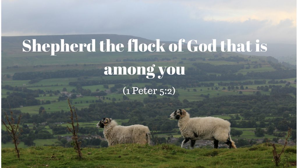 "Glorifying God in the Truth Ministries": Shepherd the Flock Among You