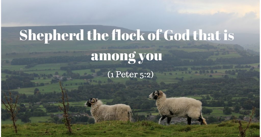 "Glorifying God in the Truth Ministries": Shepherd the Flock Among You
