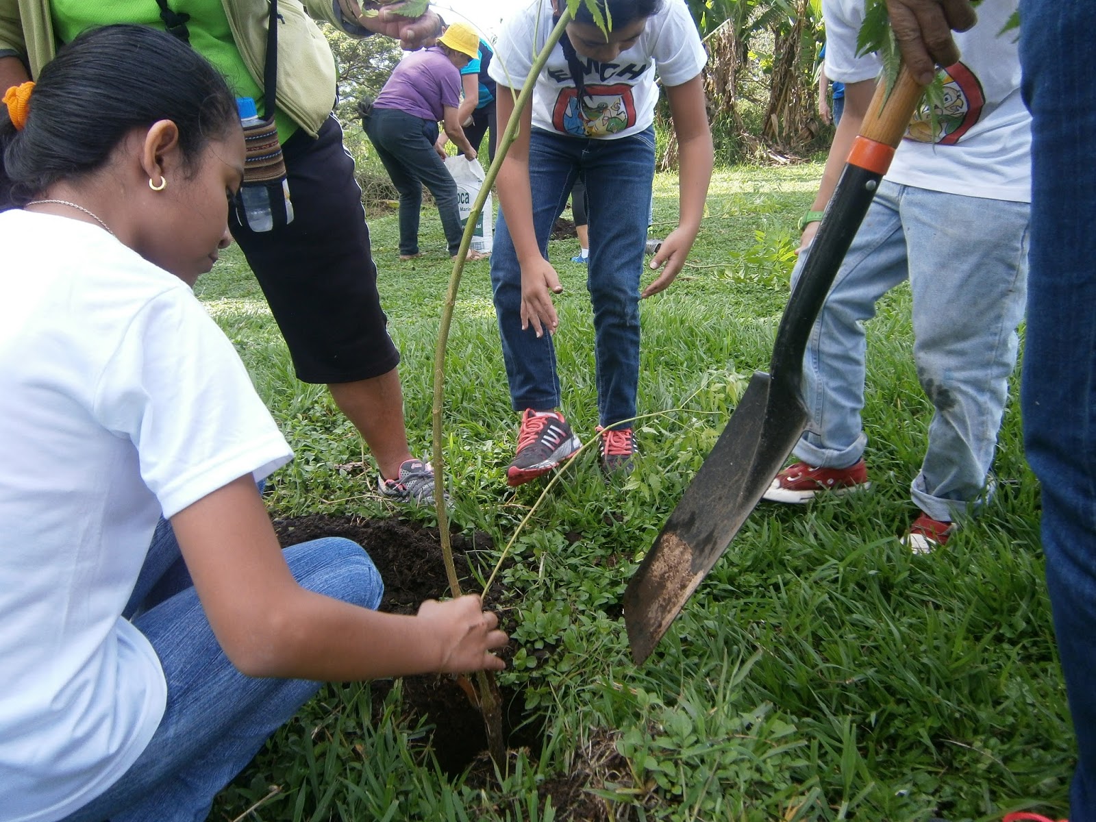 Escuela Manuel Camacho Hernández - Rally 2016: Reto sembrar árboles