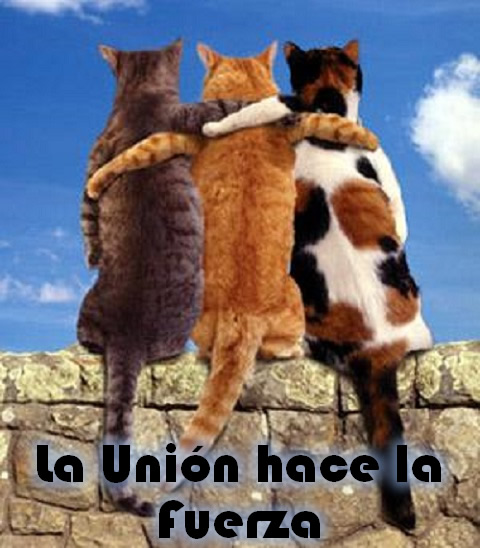 Frases y Consejos: La Unión Hace La Fuerza | Imágenes y Frases Bonitas