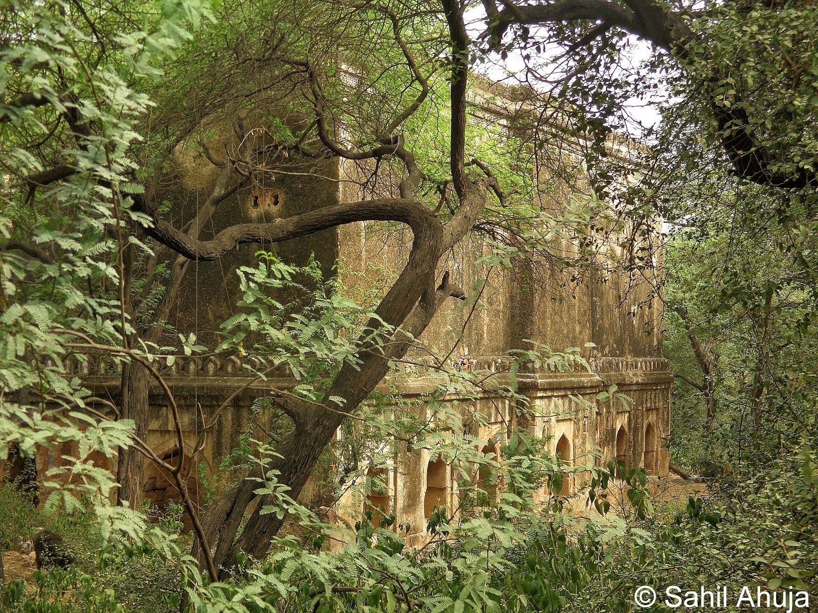 Pixelated Memories: Rajon ki Baoli, Mehrauli Archaeological Park, Delhi
