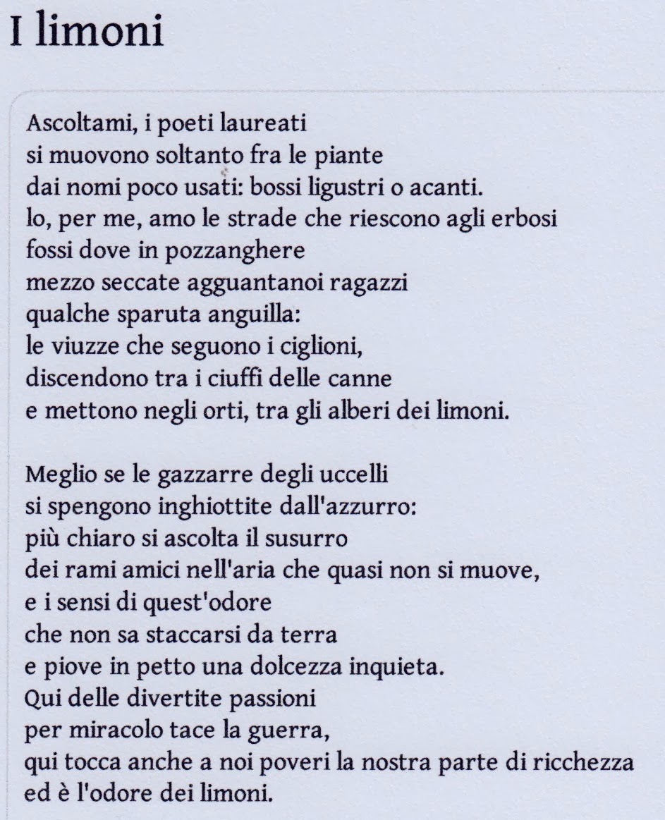 FOTOGRAFIA E POESIA: LIMONI " Eugenio Montale