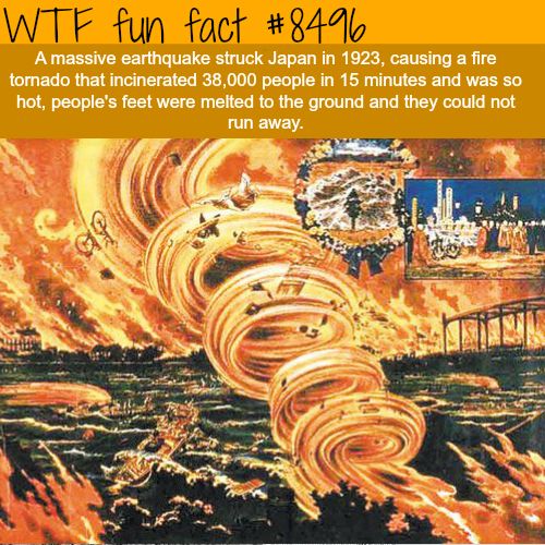 30 Amazing And Unbelievable Random Facts That Will Blow Your Mind ...