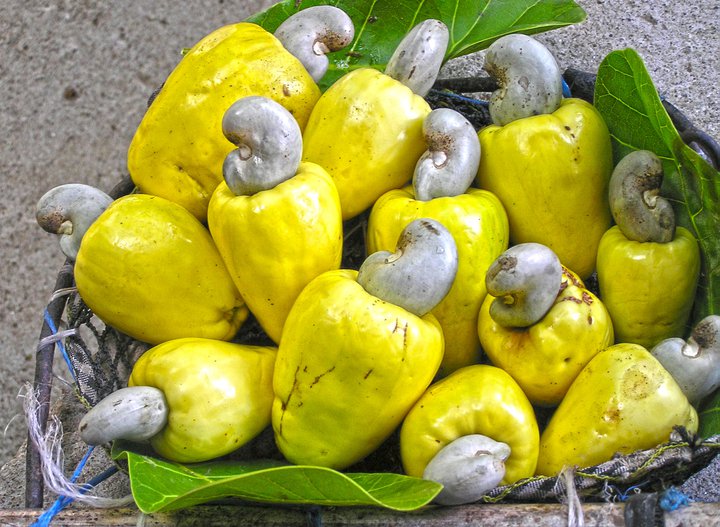 Fruits Stand: Kasoy