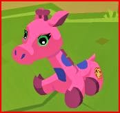 Animal Jam Plushies~A blog for everything about plushies and plushie ...