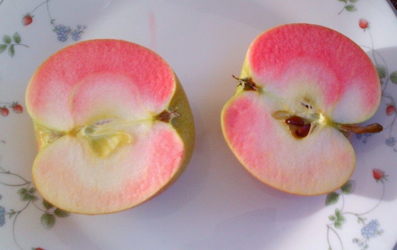 The Produce Savant: Pink-a-boo! I can see you! (Or, The Big Apple ...