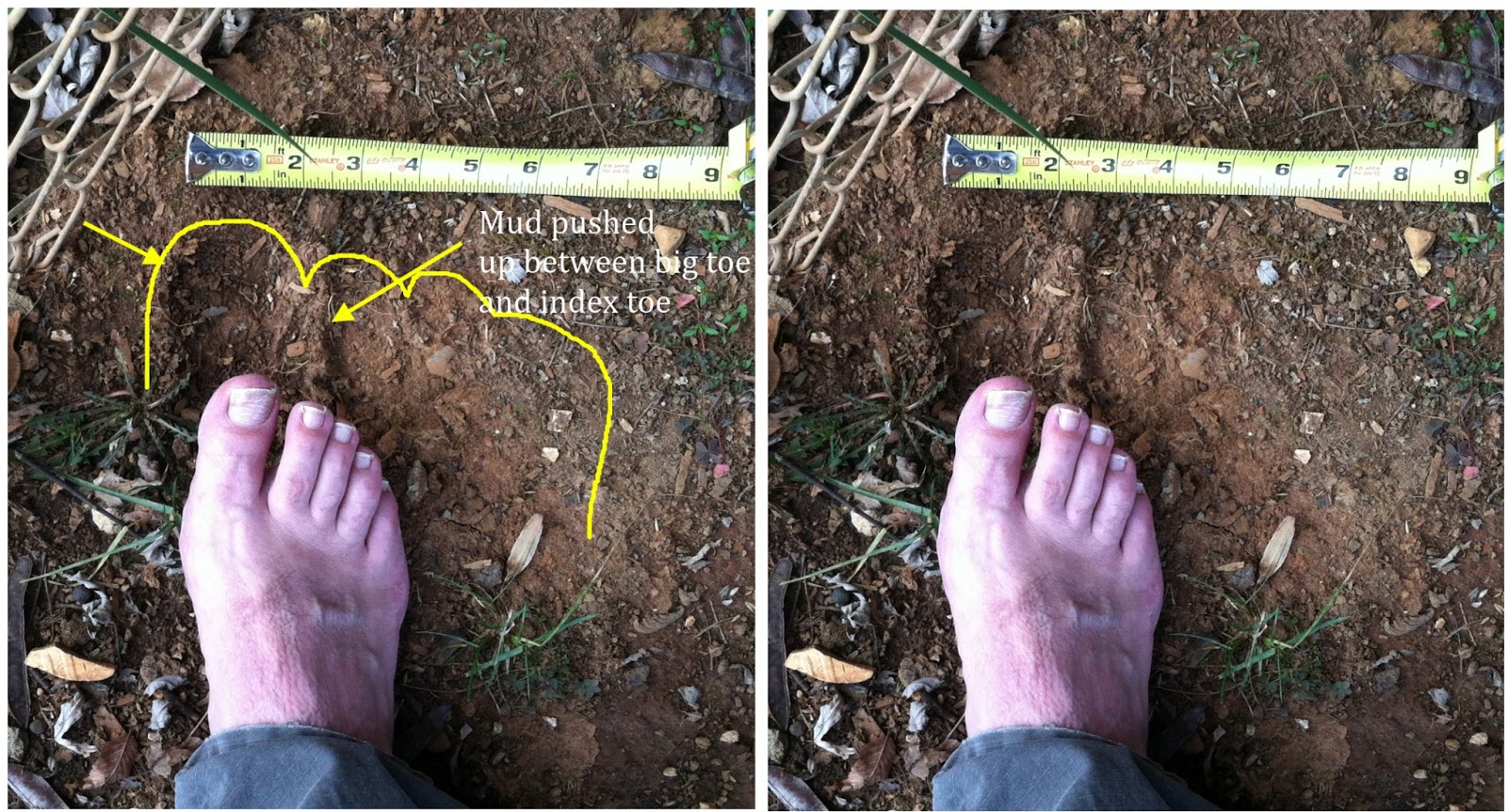 The Bigfoot Field Journal: Bigfoot Toe Print - Residential Visit