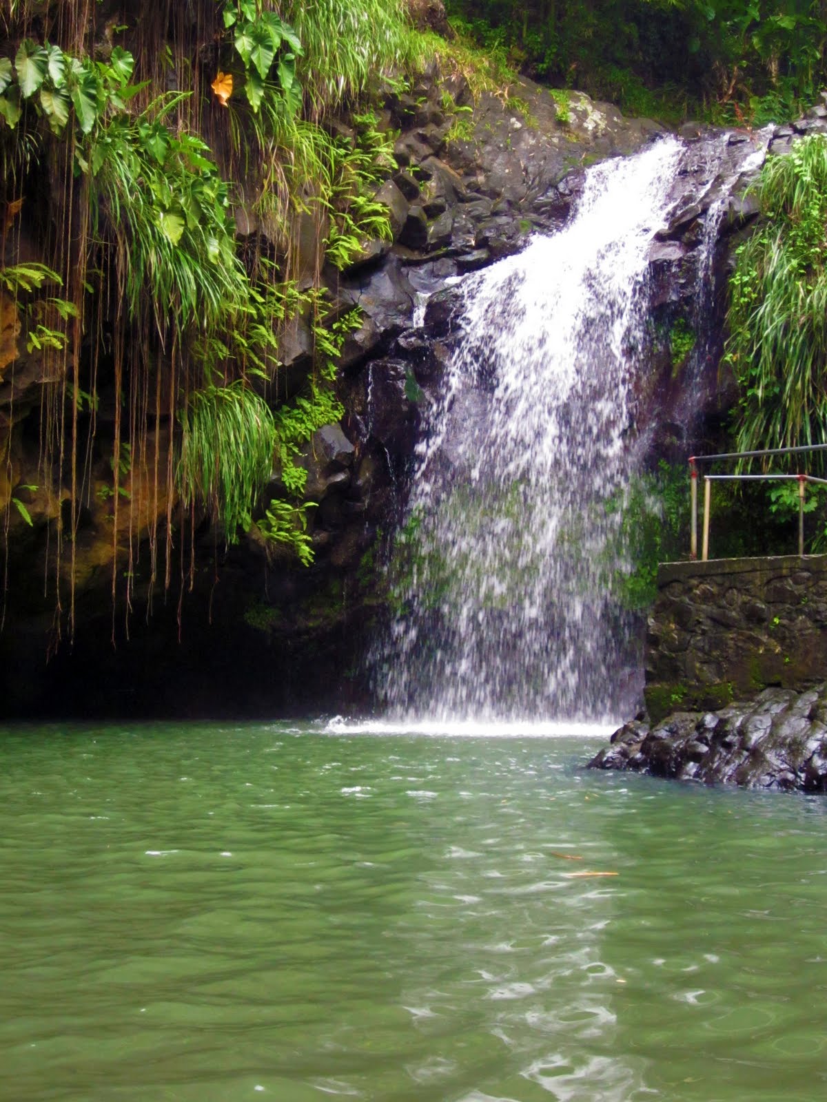 The Scurlock Scene: Annandale Falls