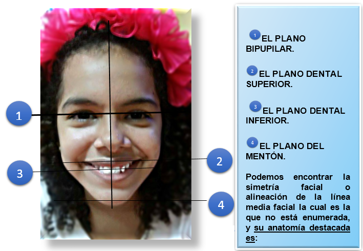 ODONTOLÓGICAMENTE: ANÁLISIS DE SONRISA