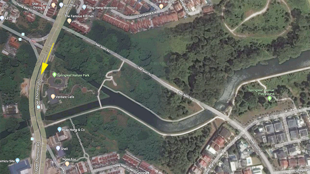 Butterflies of Singapore: Butterfly Photography at Our Local Parks ...