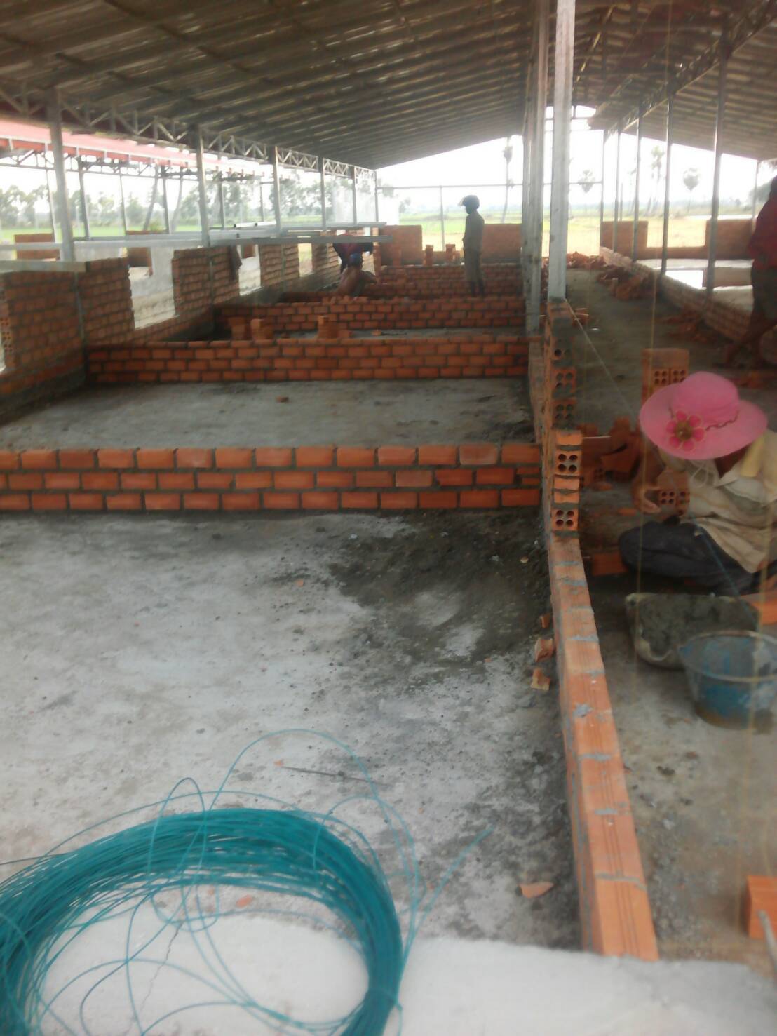 Sambo's Farming កសិដ្ធានសំបូរ-vườn Trại Sambo: My Farm Under ...