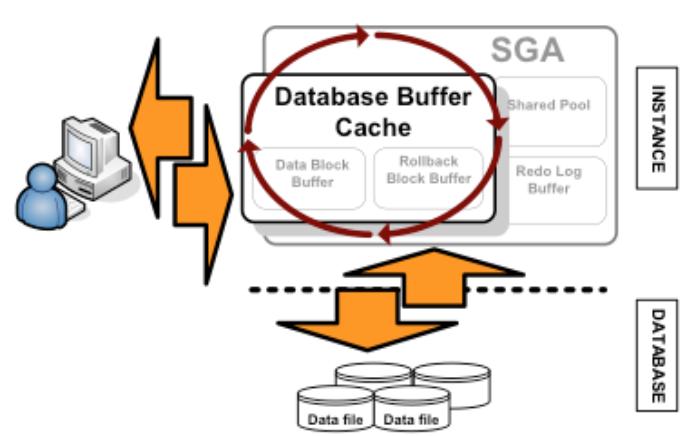 Database Info.: Database Buffer Cache Database Info.: Database Buffer Cache