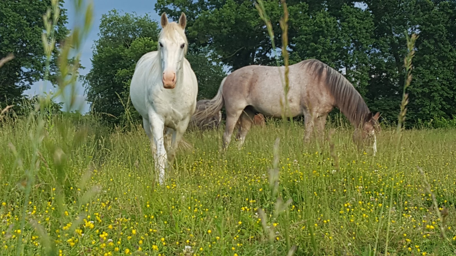 Small But Significant