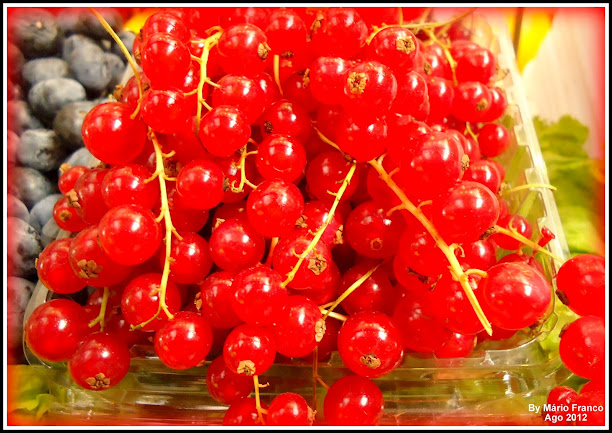 Meu Cantinho Verde: GROSELHA - ( Ribes ssp )