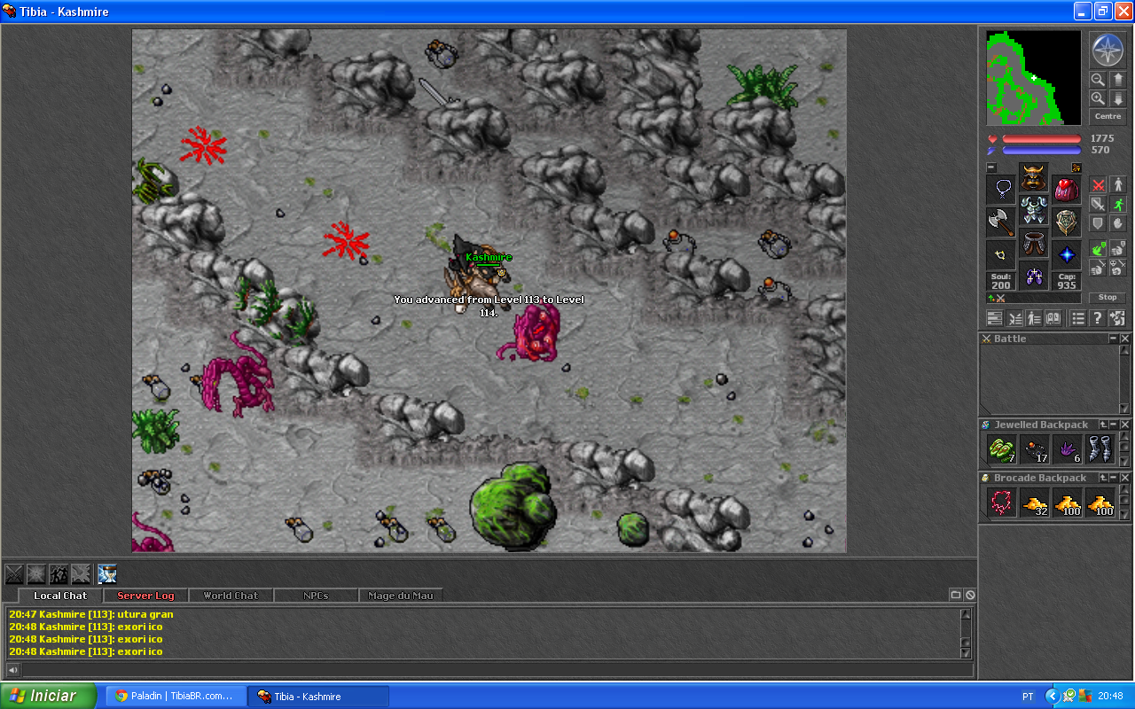 As melhores hunts do Tibia: Upando - level 111 ao 119