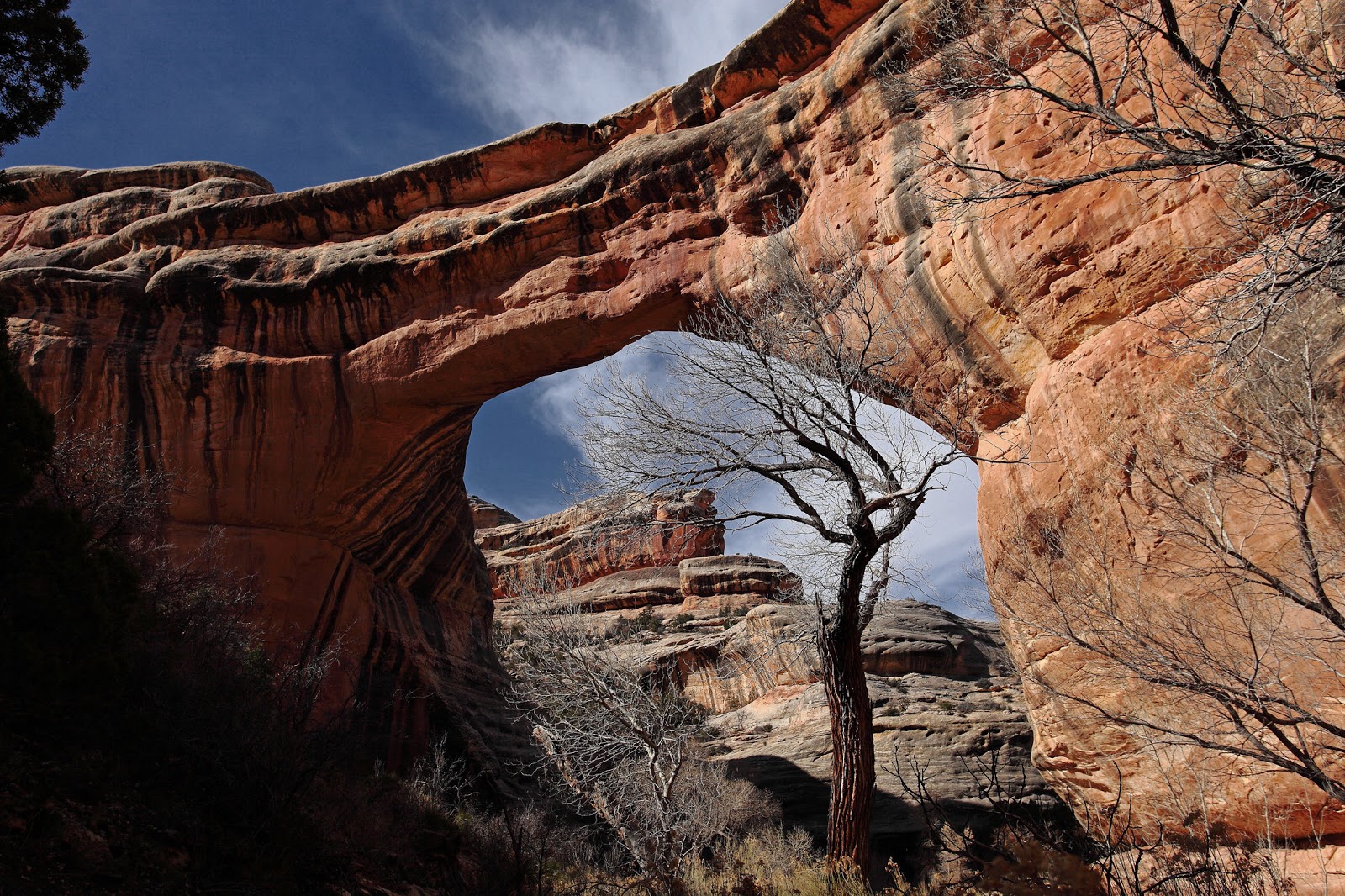 NATURAL BRIDGES NATIONAL MONUMENT - ADAM HAYDOCK