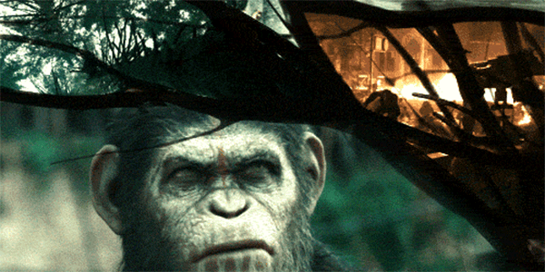 The Dawn of the Planet of the Apes Tumblr page hasreleased a new ...