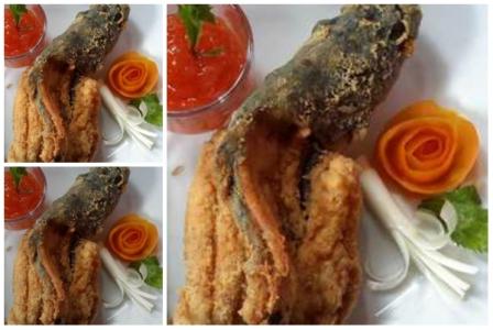 Resep Ikan Pating Goreng Tepung Renyah Menggoyang Lidah - County Food
