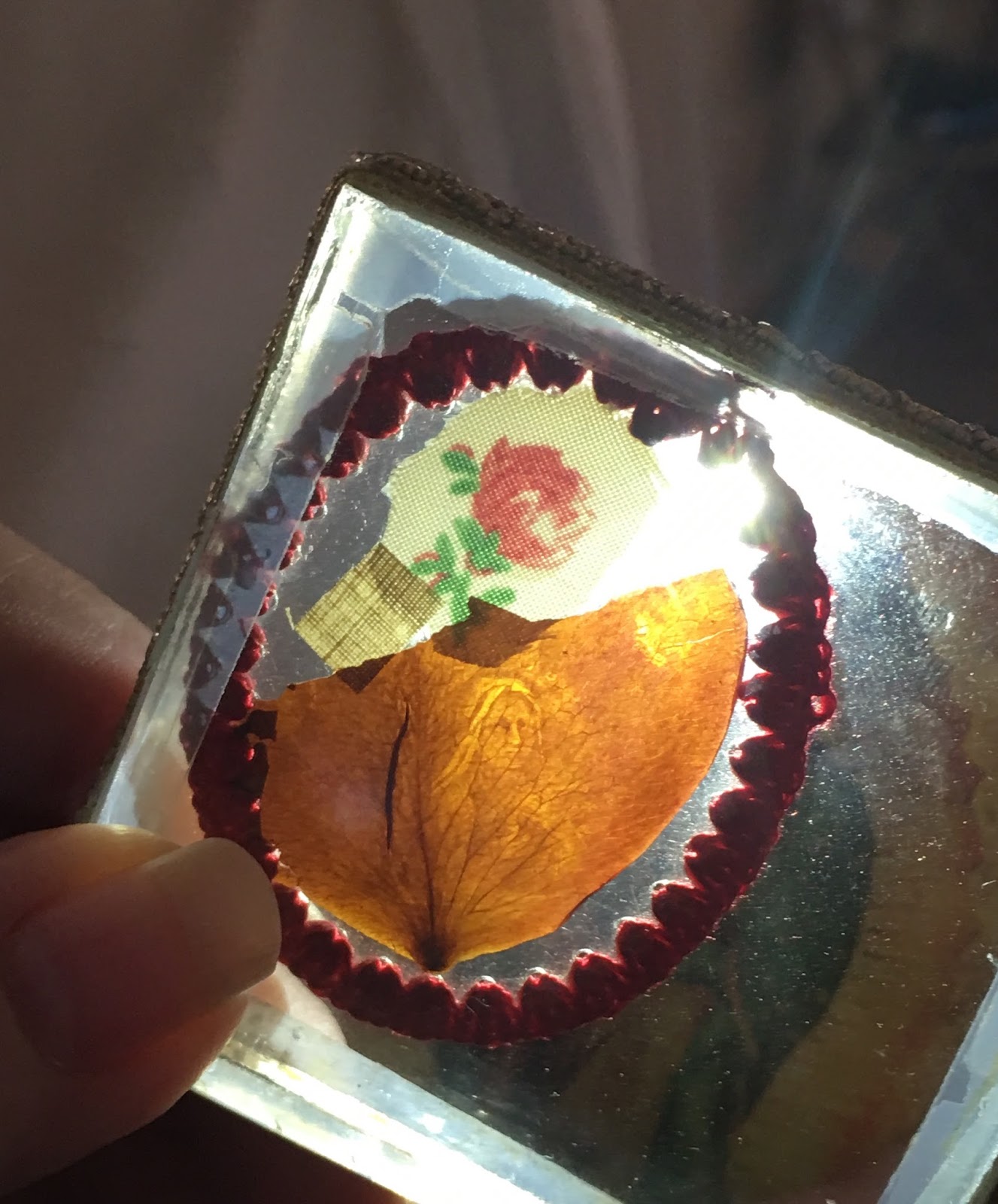 Miraculous rose petals from St. Thérèse?