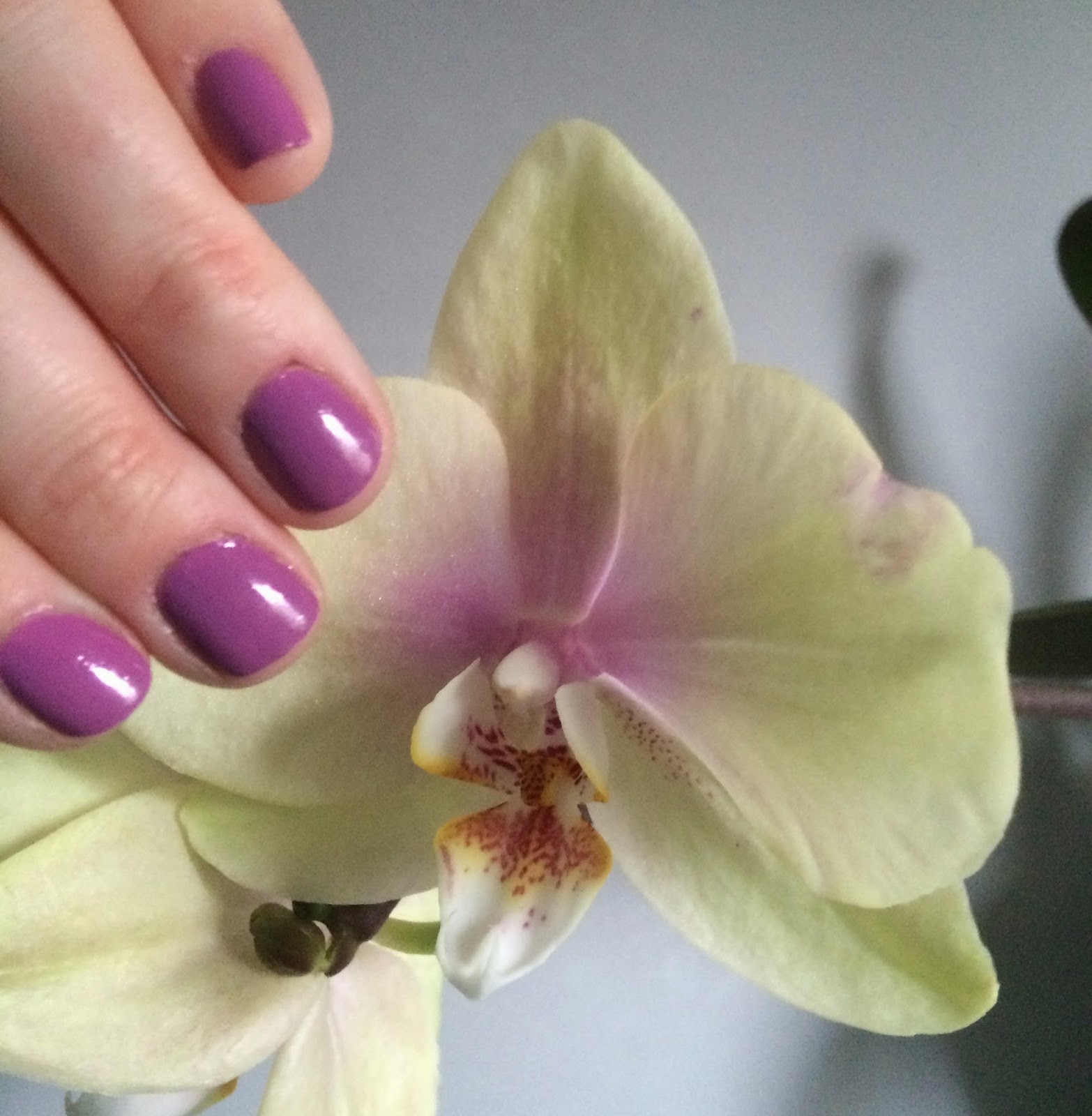 The Manic Painteress: Zoya Perrie--A True Radiant Orchid